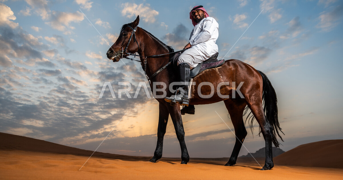 A Saudi Gulf rider riding horses in the picturesque Saudi desert in ...