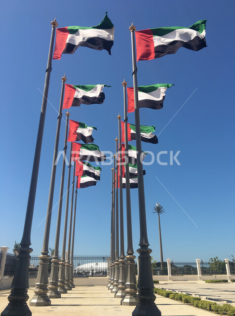 Celebrating the Emirati National Day, the flag of the United Arab ...