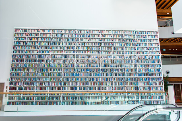 Organizing and arranging the bookshelves in the Mohammed bin Rashid ...
