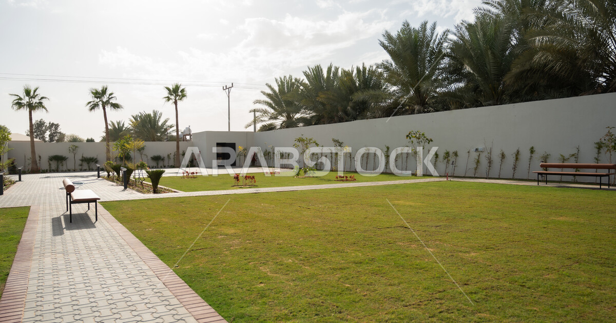 Urban growth and progress in the Kingdom of Saudi Arabia, trees and ...