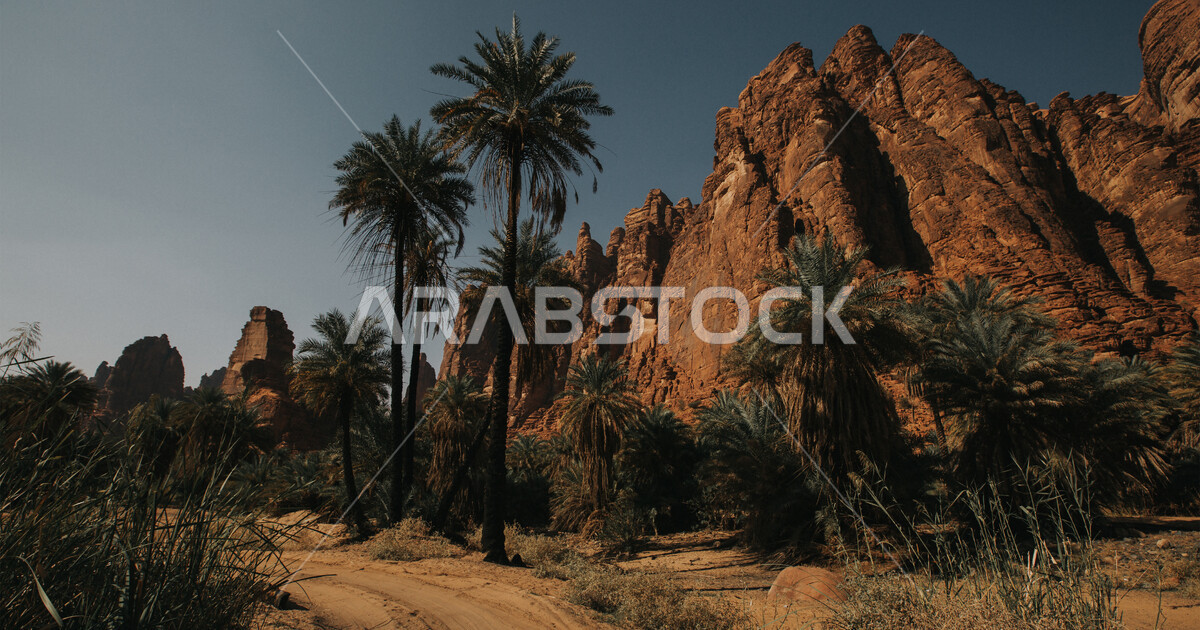 Natural sedimentary mountains, agriculture and afforestation in tourist ...