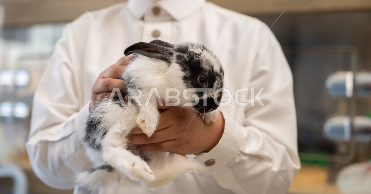 The concept of animal kindness and compassion, a smiling Saudi Gulf ...