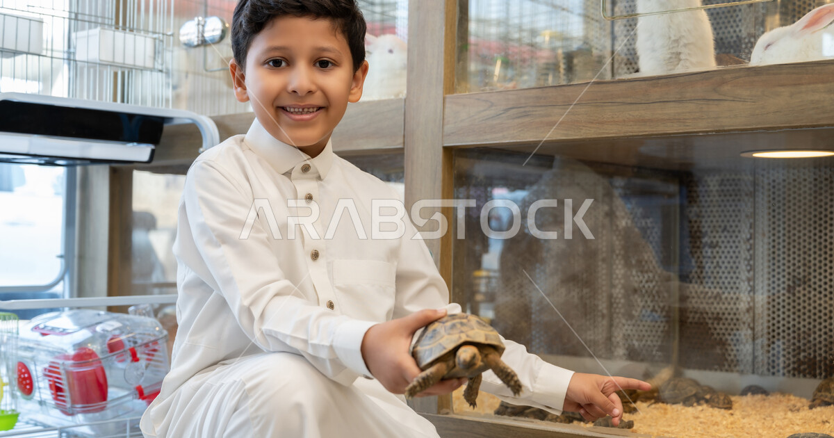 Visiting stores for buying pets, the concept of animal kindness and ...