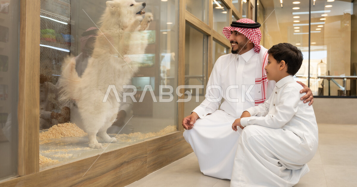 Stores for buying and selling pets, the concept of friendly, loyal ...