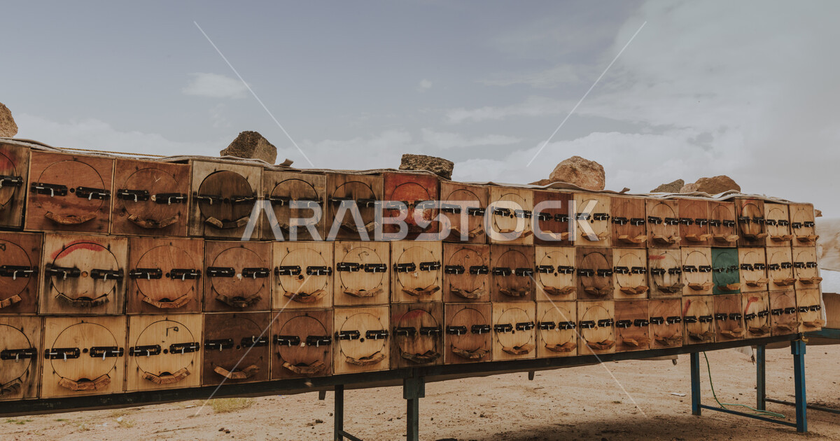 Honey bee hives to produce pure honey in the Al-Baha region in the ...
