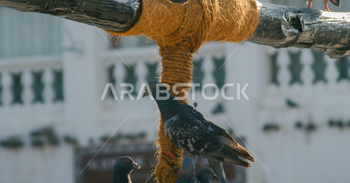 Traditional Qatari popular markets, famous tourist attractions in the ...