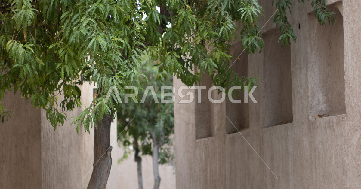 Interest in planting trees, historical buildings in the Shindagha area ...