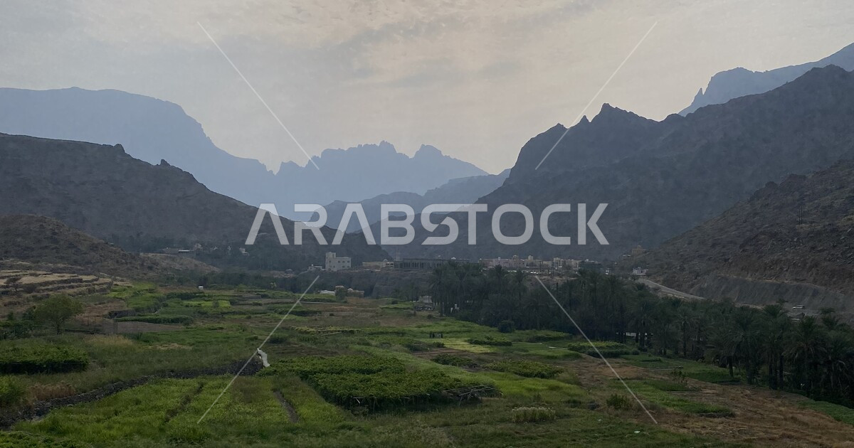 Interest in planting green trees in the village of Al-Alia ...
