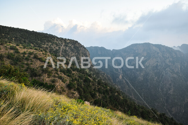 The mountainous environment of the Abha region in Asir, green nature ...
