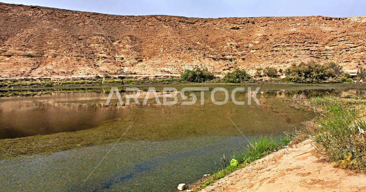 The picturesque nature in the Kingdom, a water lake in the city of ...
