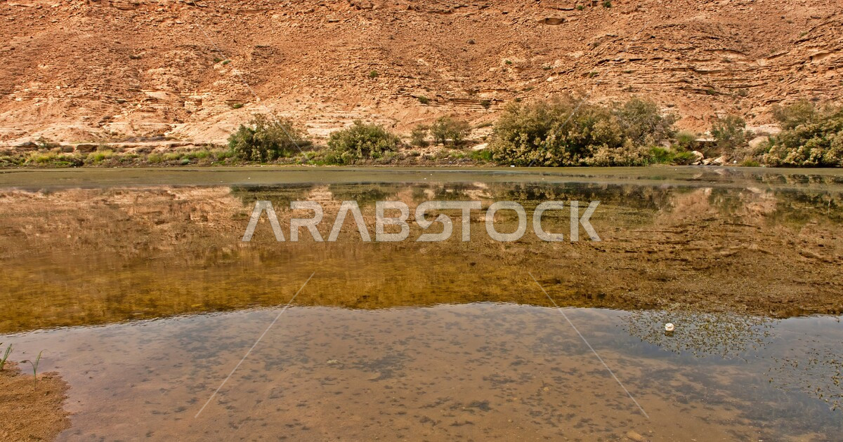 The picturesque nature in the Kingdom, a water lake in the city of ...