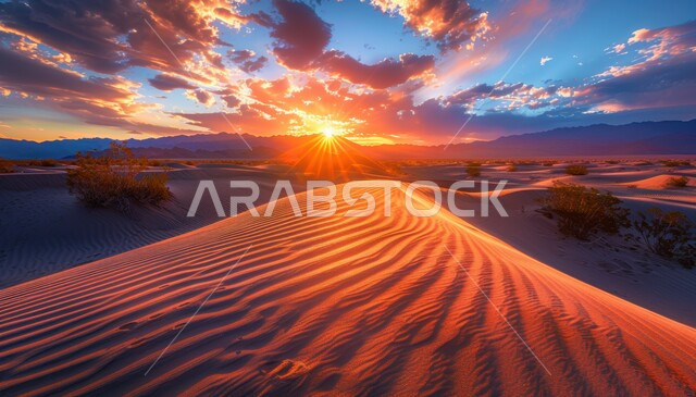 Sand dunes in desert landscapes, vast expanses and lands in Saudi ...