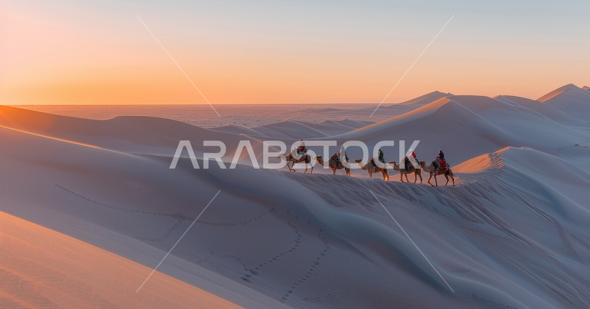 Golden sand formations in the Arabian Gulf, camel breeding in nature ...