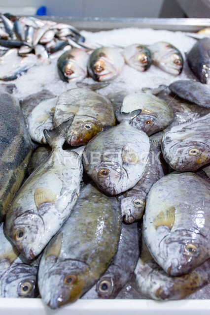 Fish market in Deira area of Dubai, UAE, nutritional benefits of fish ...