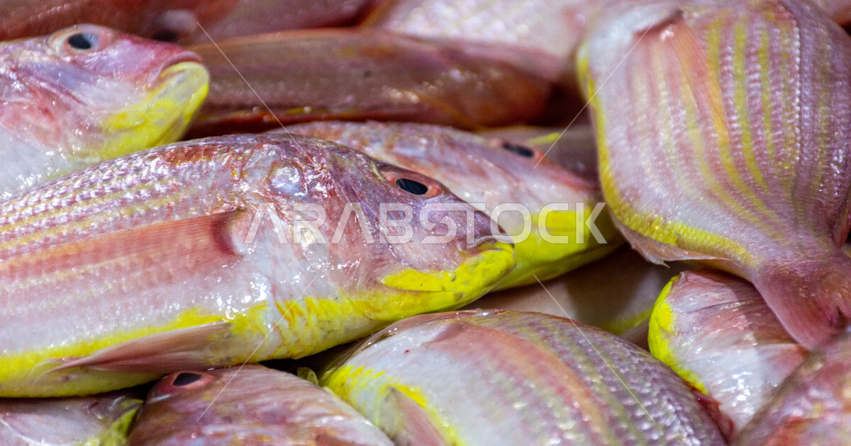 fish, markets, types, professionalism, professionalism, fish, markets ...