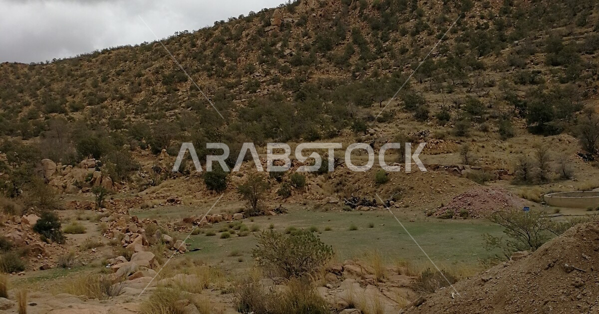 Al Shafa Mountains in Taif City in the Kingdom of Saudi Arabia, foggy ...