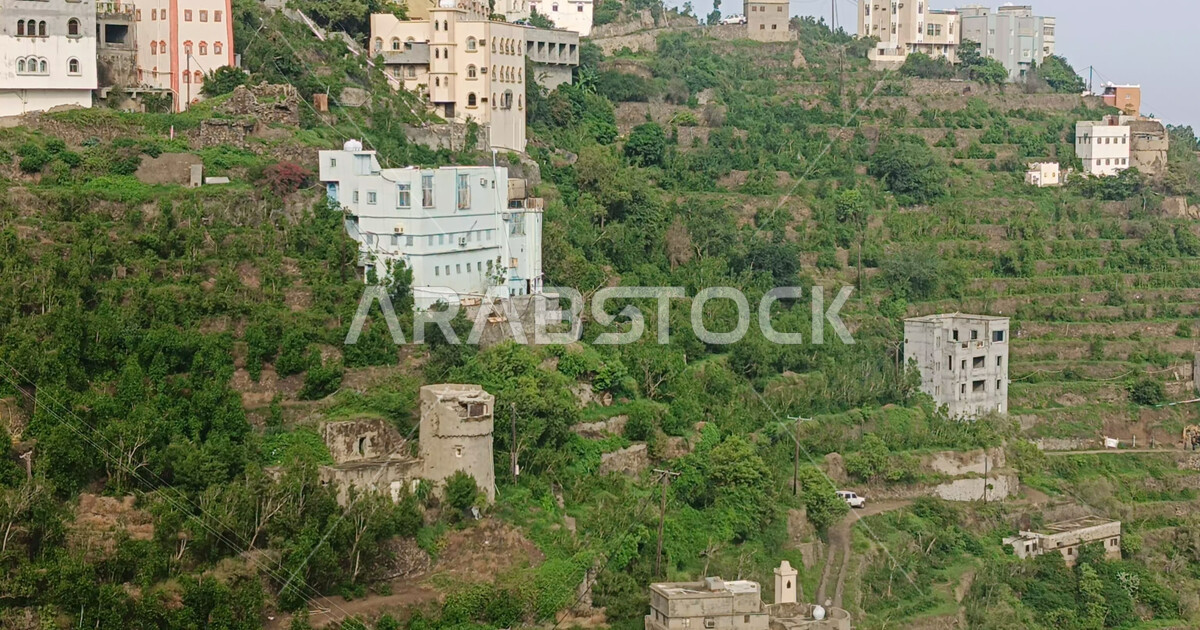 Green trees and plants in the Al-Fayfa Mountains in the south of the ...