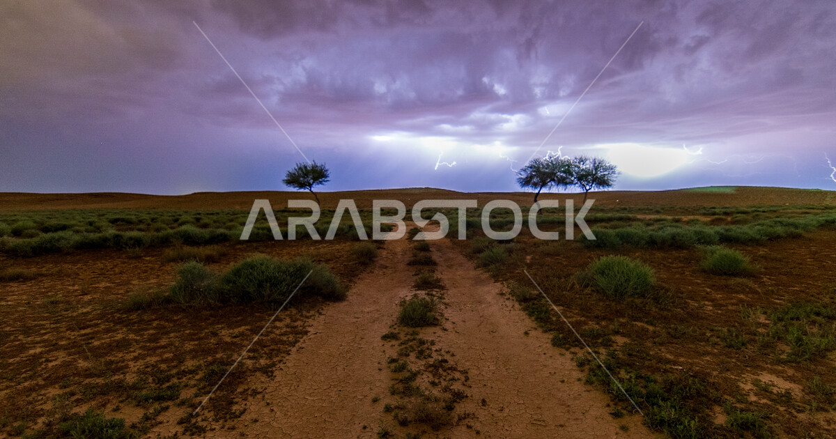 Desert lighting - Photo #208985 - Stock Photos - Exclusive Gulf Arab ...