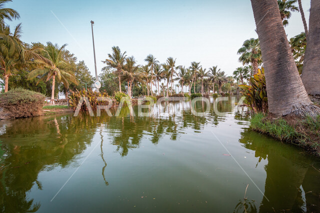 Beautiful Yanbu Industrial Lake Park with a scenic landscape in Saudi ...