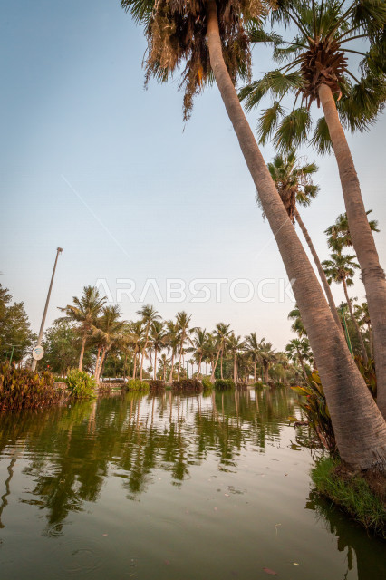 Beautiful Yanbu Industrial Lake Park with a scenic landscape in Saudi ...