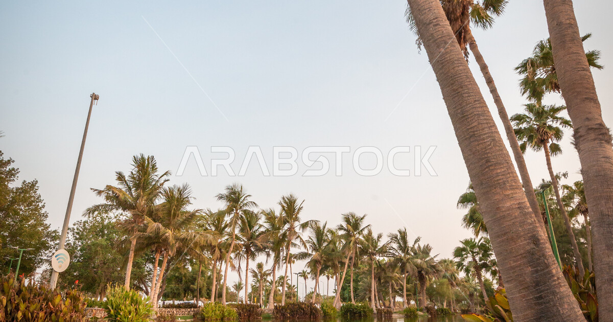 Beautiful Yanbu Industrial Lake Park with a scenic landscape in Saudi ...