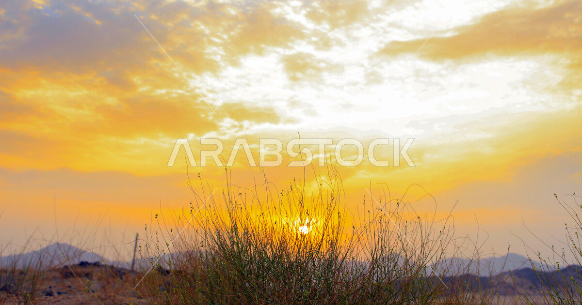 A stunning aesthetic picture of sunset and sunrise, creative sunset and ...