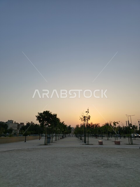 Interest in planting trees and plants in the Green Riyadh project, the ...