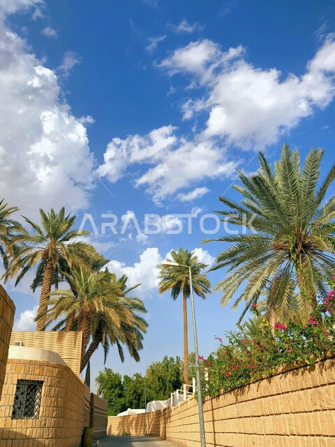 Green palm trees in Riyadh, famous tourist attractions, architectural ...