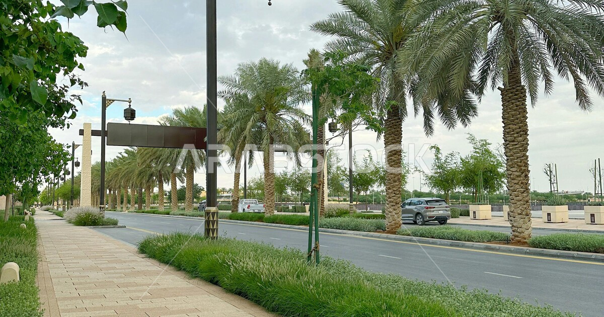 Road facilities in the Diriyah area, green palm trees, famous tourist ...