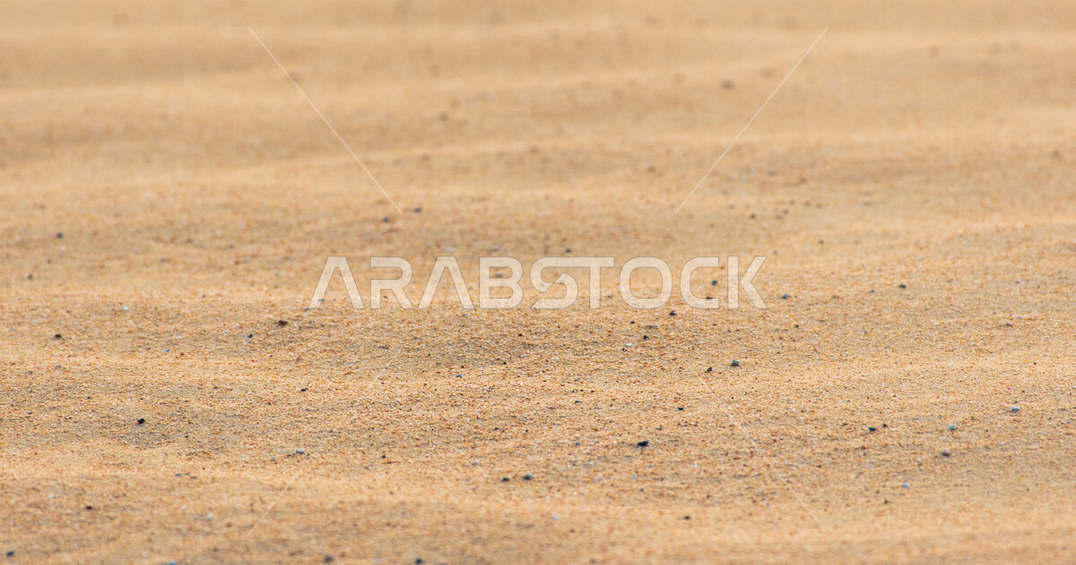 Dense sand formations and terrain, soft golden sand dunes in the desert ...