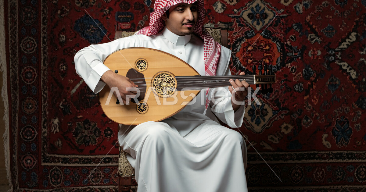 Artist presenting programs, musical arts and theatrical art, musical ...