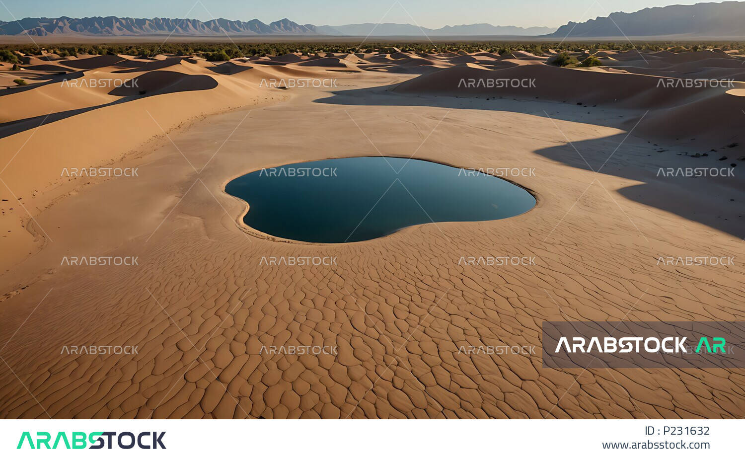 Safari recreational areas, a pool of water in the middle of oases in ...