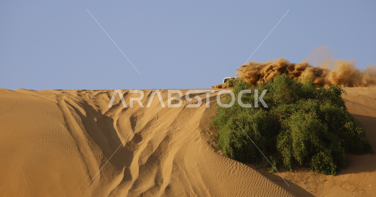 Entertainment activities that attract tourists, riding a car on sand ...