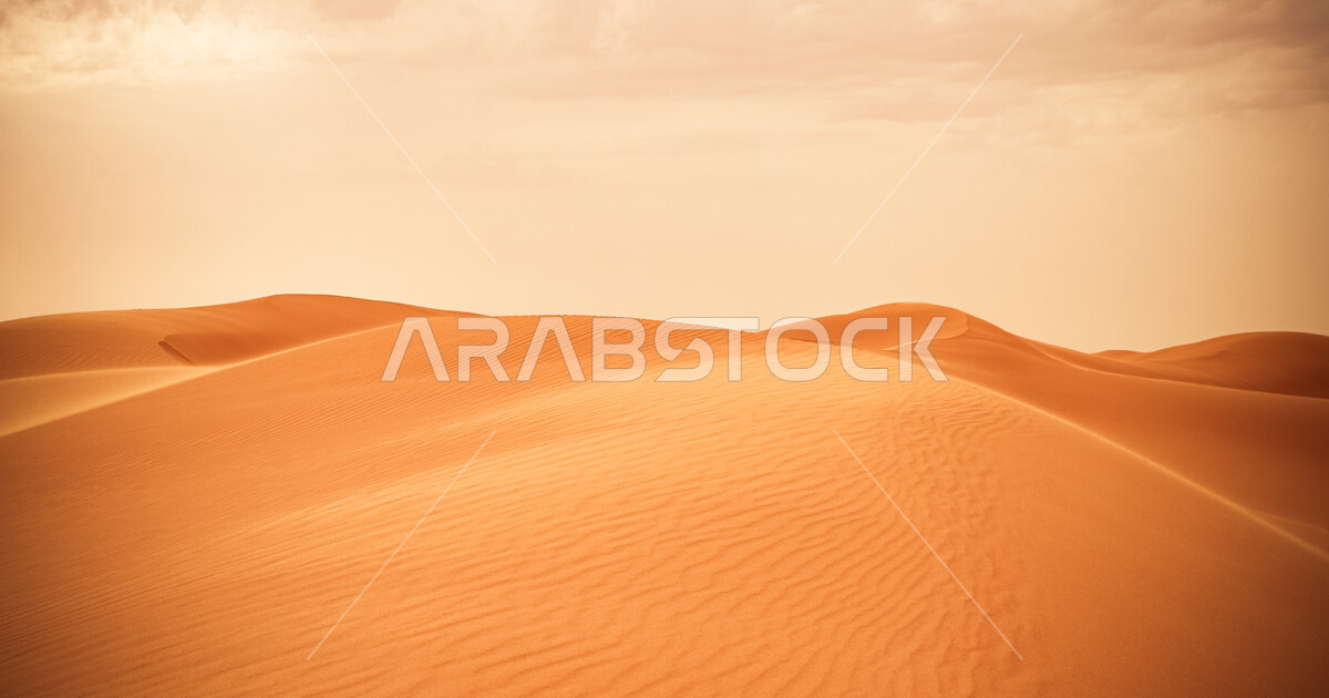 Soft golden sand plateaus, hills and dunes, desert areas and desert ...
