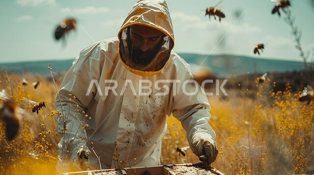 Extracting natural honey from beehives in the Kingdom of Saudi Arabia ...