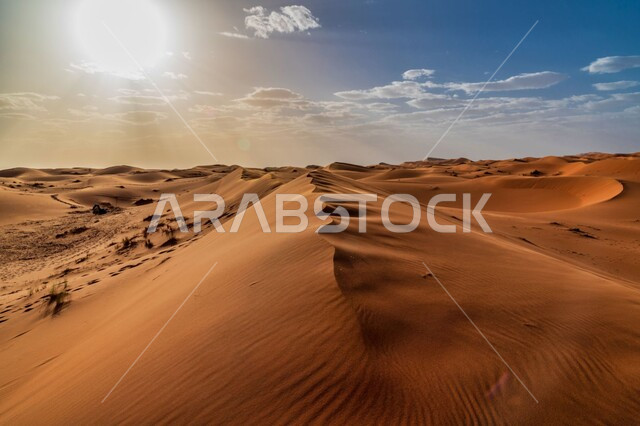 The terrain and dry environment in desert nature, formations and ...
