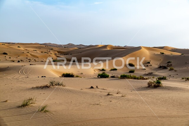 The terrain and dry environment in desert nature, formations and ...