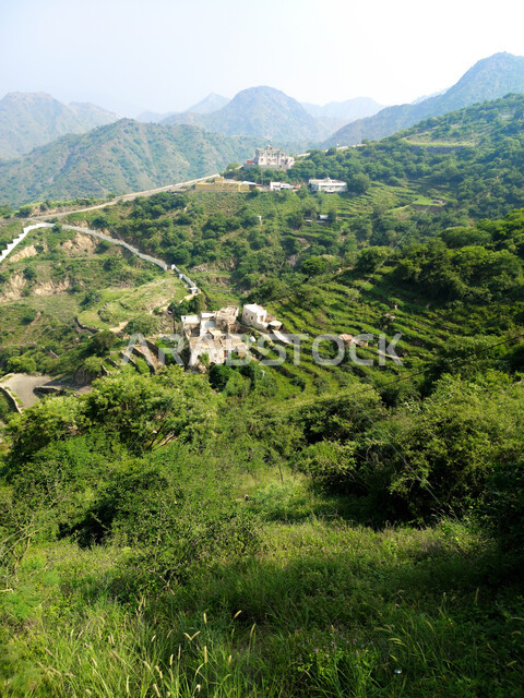 Green trees and plants in the Al-Fayfa Mountains in the south of the ...