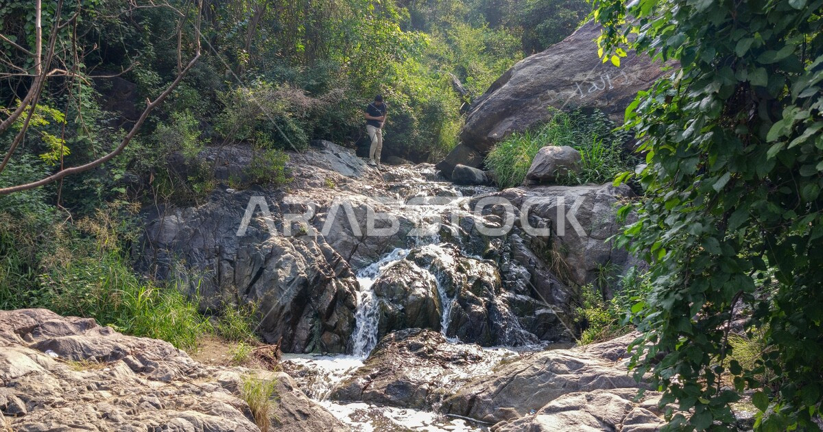 Green trees and plants in the Al-Fayfa Mountains in the south of the ...