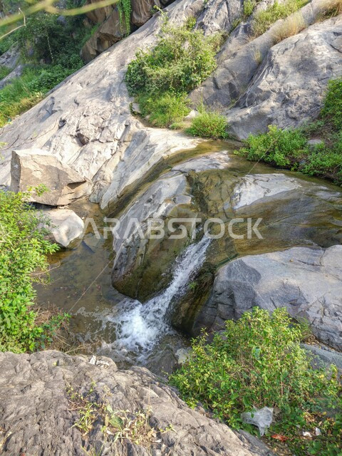Green trees and plants in the Al-Fayfa Mountains in the south of the ...