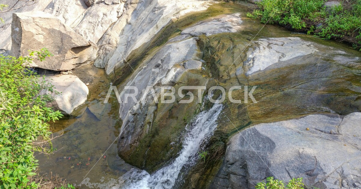 Green trees and plants in the Al-Fayfa Mountains in the south of the ...
