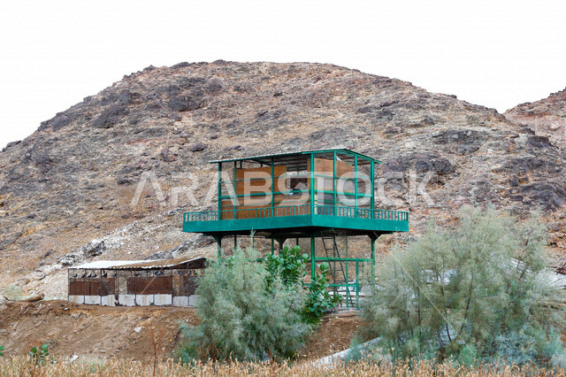 Al-Shifa Mountains in the city of Taif, Saudi Arabia, tourist places in ...