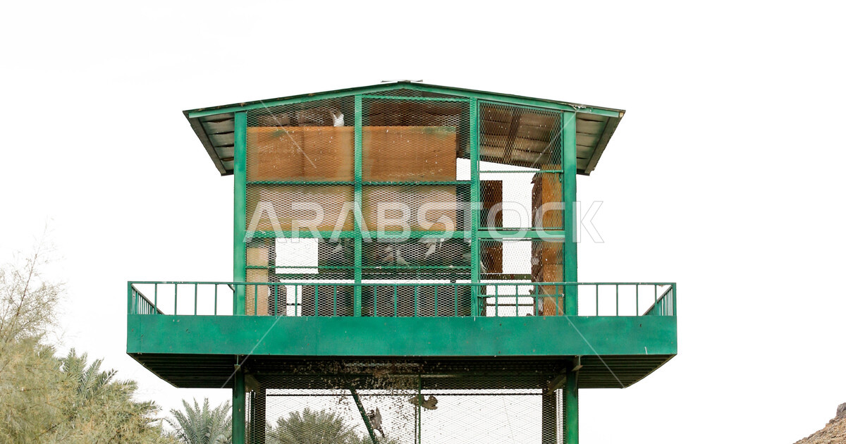 Al-Shifa Mountains in the city of Taif, Saudi Arabia, tourist places in ...