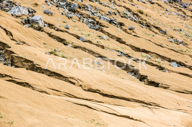 Nature in Saudi Arabia, sand dunes, picture of small rocks on the sands ...
