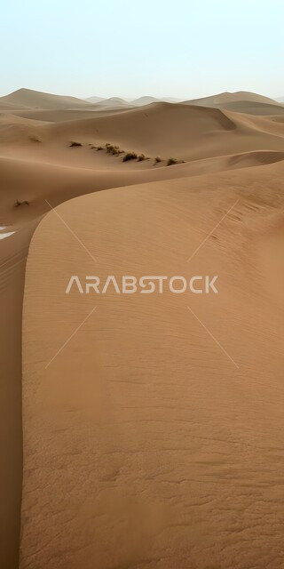 Harsh and dry climate, desert areas and natural desert environment ...