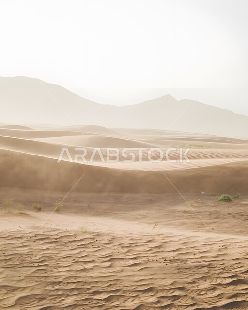 Harsh and dry climate, desert areas and natural desert environment ...