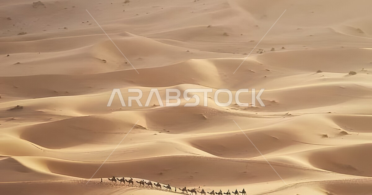 The dry and harsh climate of the arid lands, the desert areas and the ...