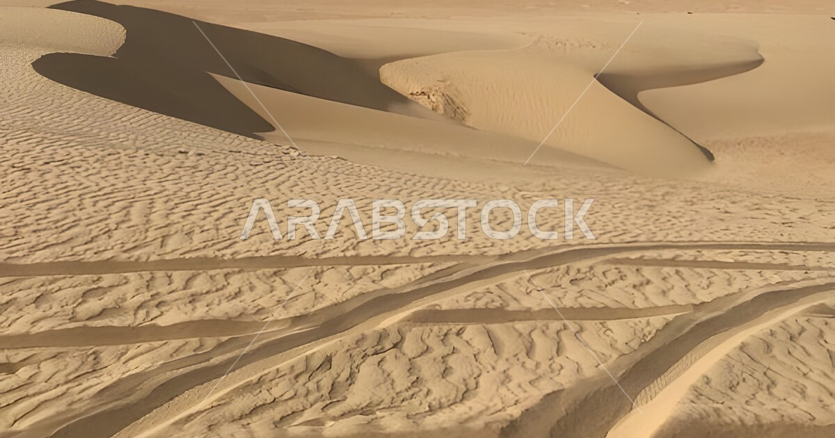 The dry and harsh climate of the arid lands, the desert areas and the ...