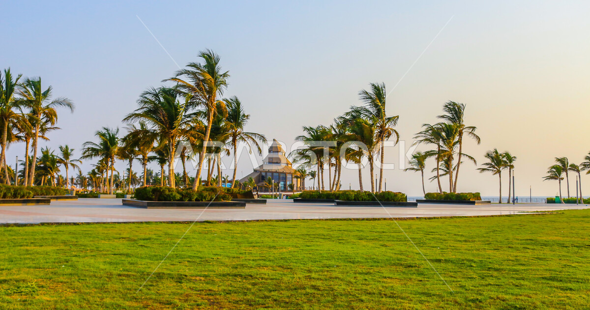 A picture of the picturesque nature on the Jeddah Corniche, the ...