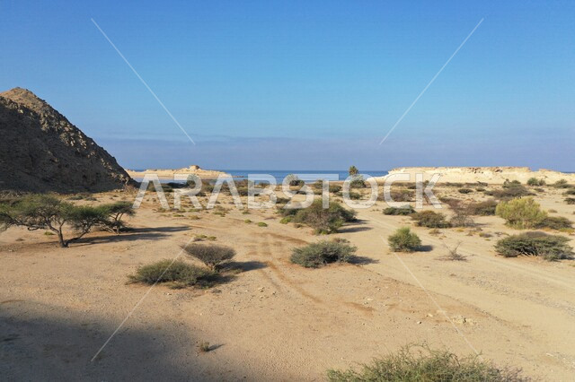 A picture of Amala Bay in the Tabuk region, northwest of Saudi Arabia ...